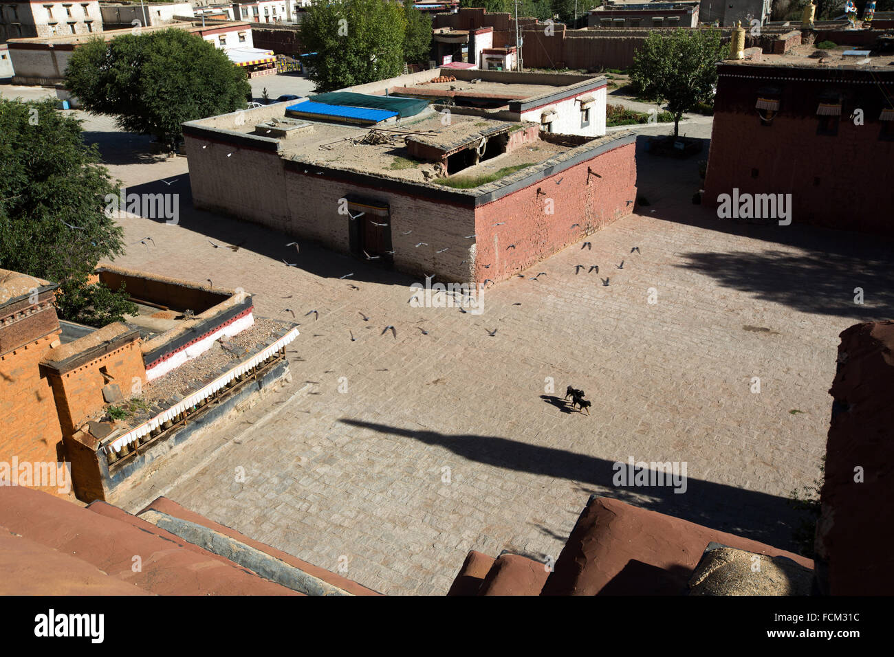 Palkor hi-res stock photography and images - Alamy