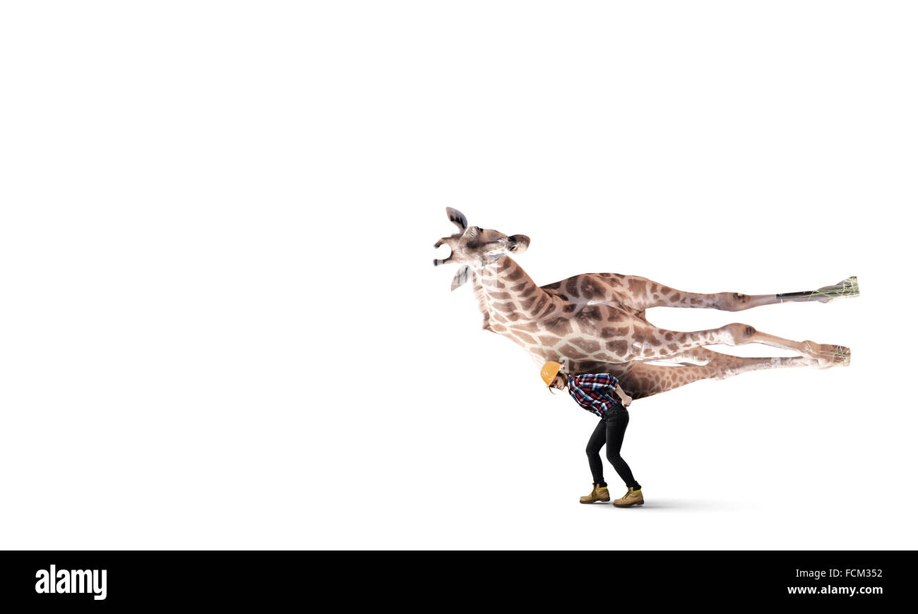 Businesswoman carrying big giraffe on her back Stock Photo - Alamy