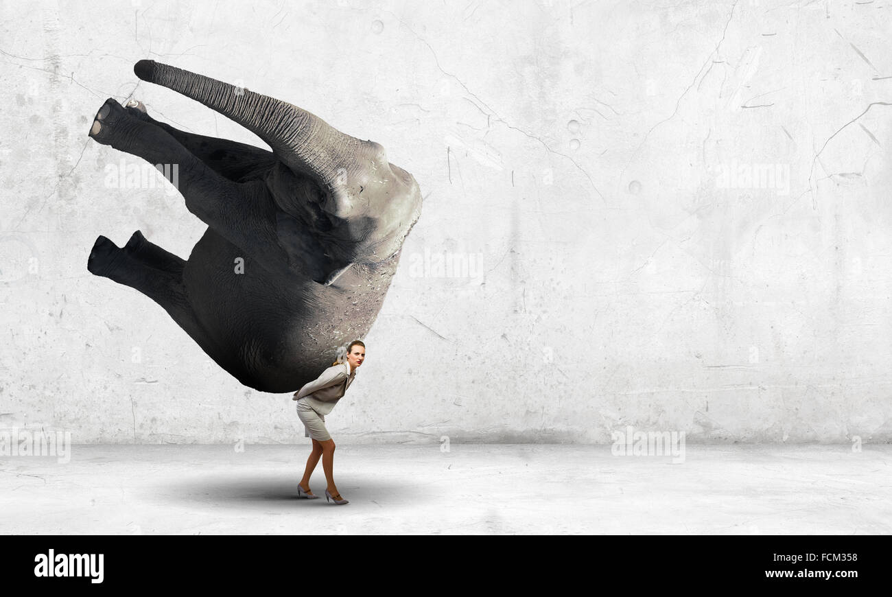 Elephant carrying heavy hi-res stock photography and images - Alamy