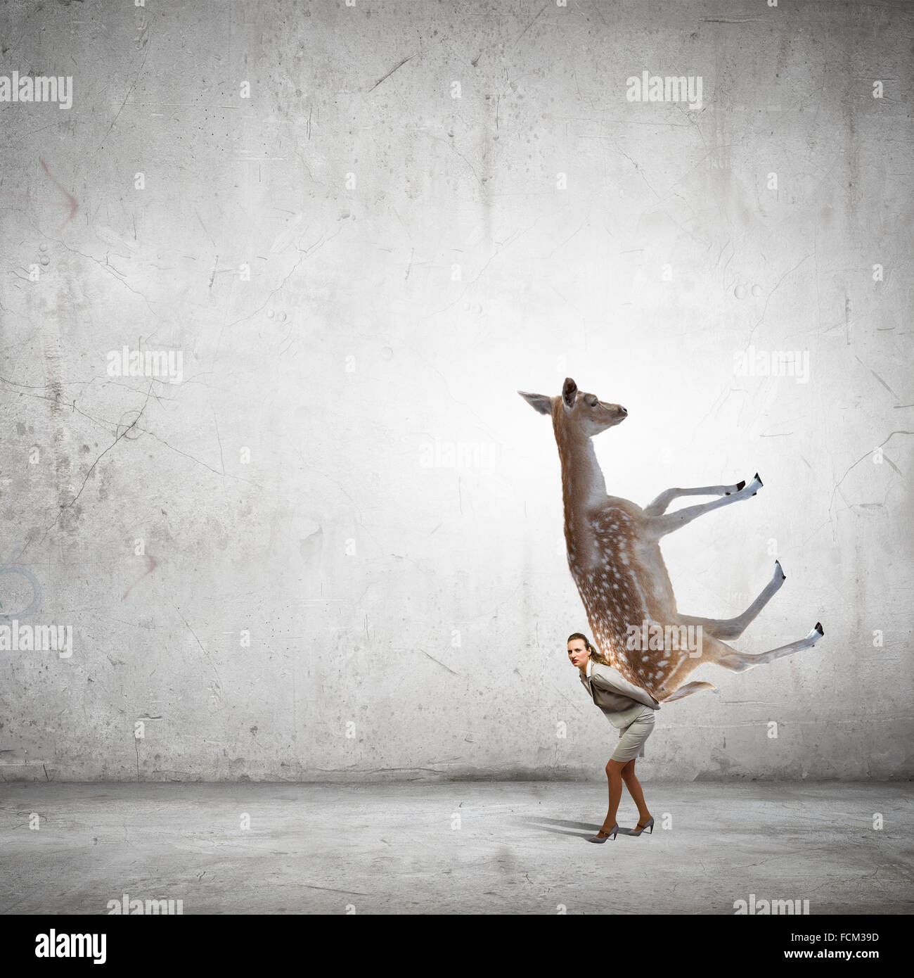 Big deer hi-res stock photography and images - Alamy
