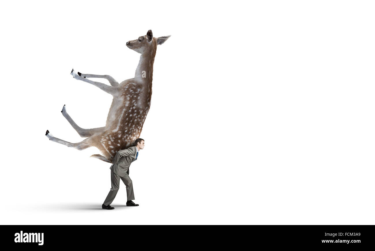 Tired deer hi-res stock photography and images - Alamy