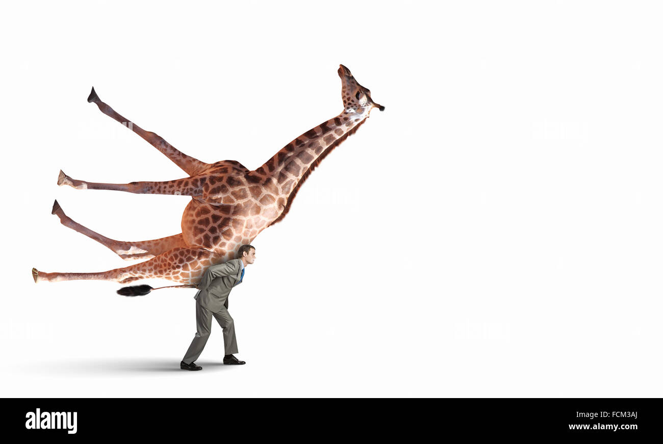 Back on lead Cut Out Stock Images & Pictures - Alamy