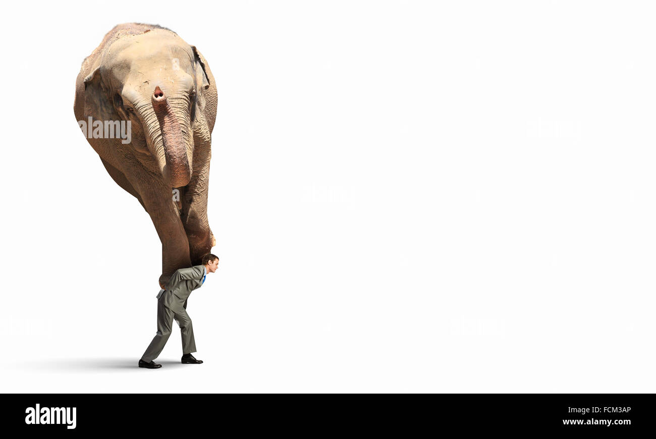 Elephant carrying load hi-res stock photography and images - Alamy