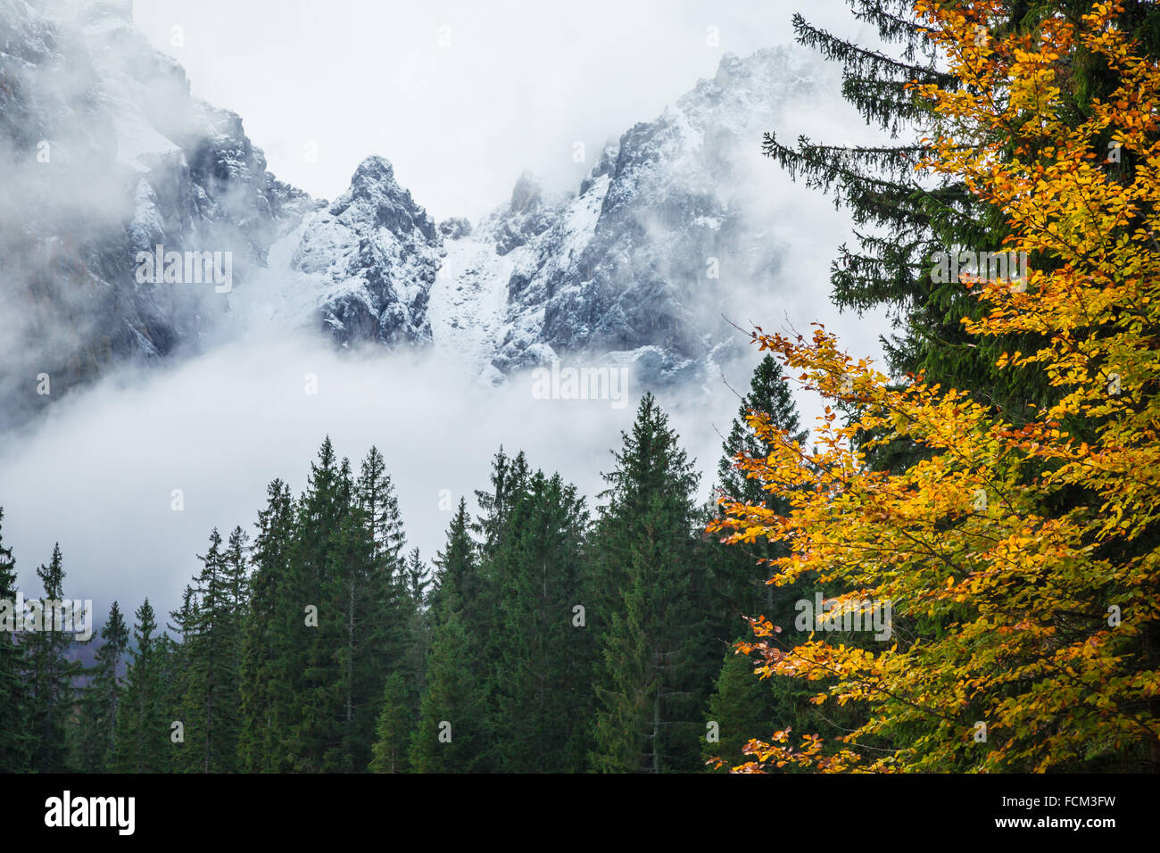 Fall in the italian alps in a misty day Stock Photo - Alamy