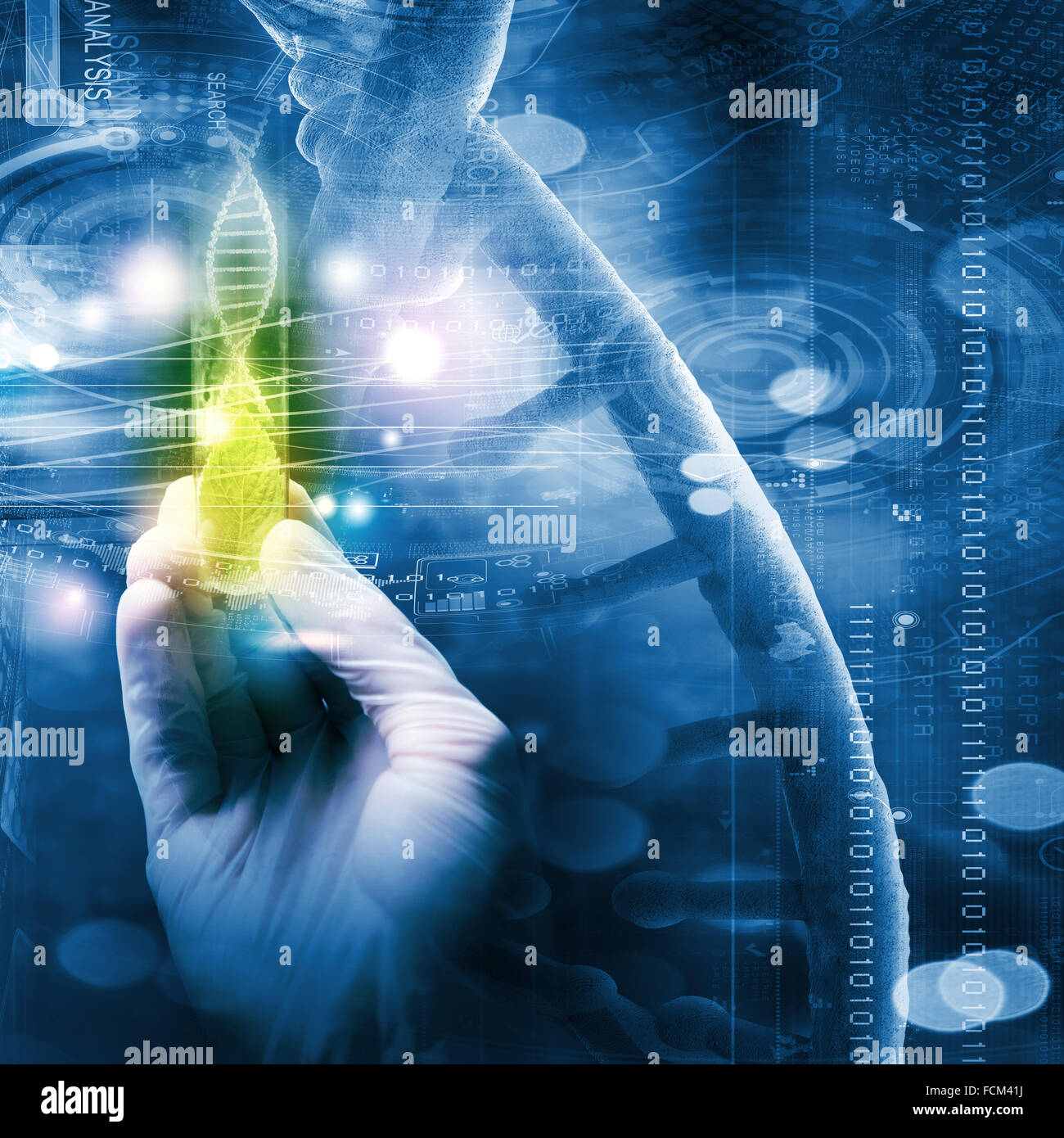 Close up of scientist hand holding tube with leaf Stock Photo - Alamy