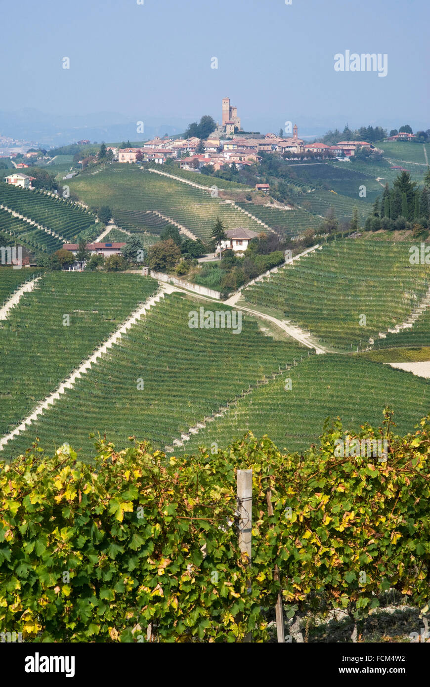 Vineyards on the hills of Langhe in Piedmont, Northern Italy Stock ...
