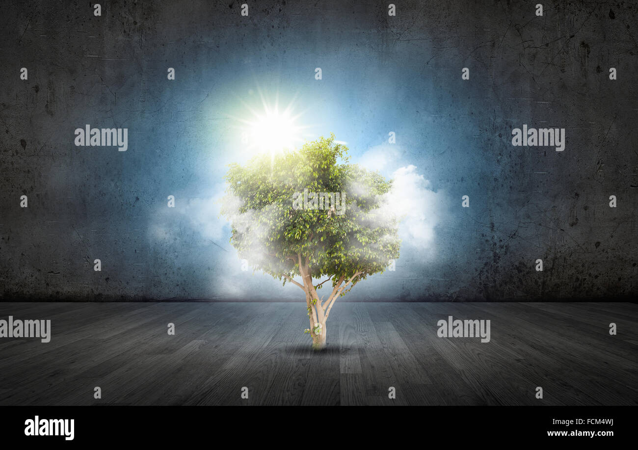 Green tree as a symbol of environmental protection Stock Photo - Alamy