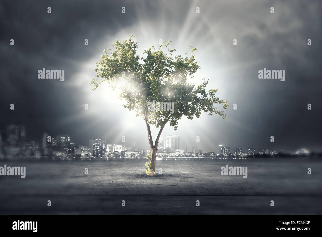 Green tree as a symbol of environmental protection Stock Photo - Alamy