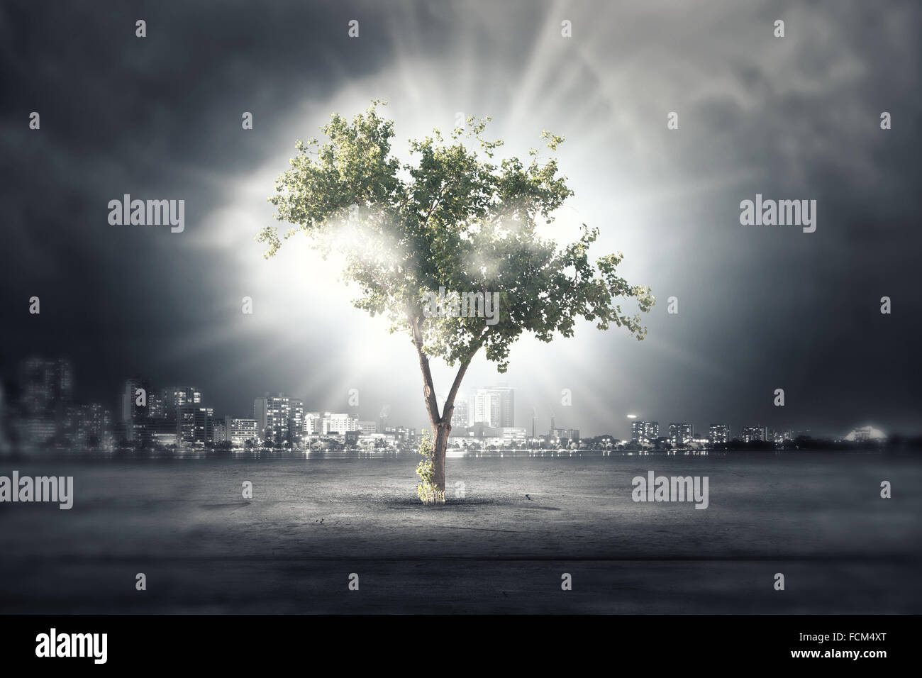 Green tree as a symbol of environmental protection Stock Photo - Alamy