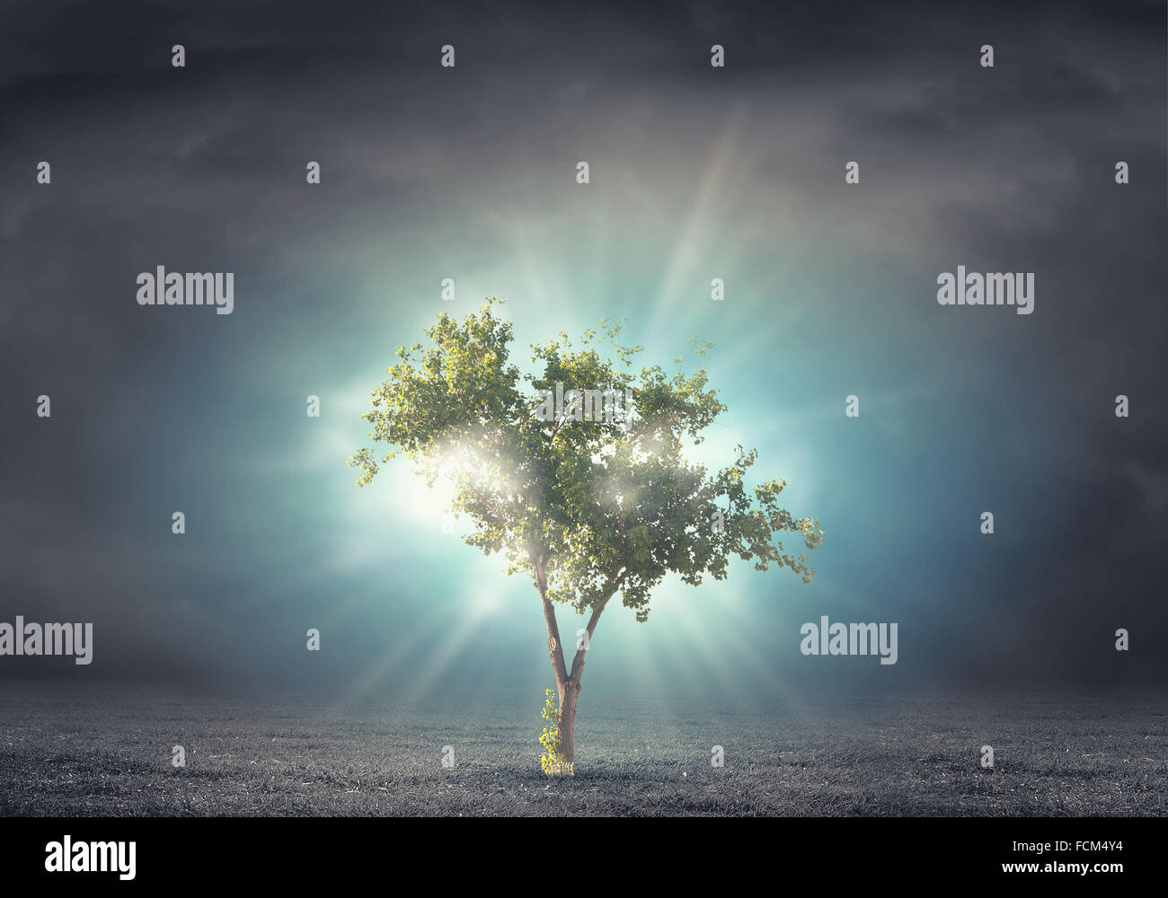 Green tree as a symbol of environmental protection Stock Photo - Alamy