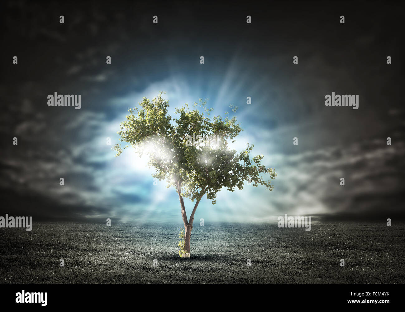 Green tree as a symbol of environmental protection Stock Photo - Alamy