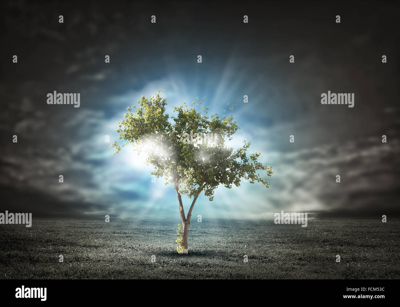 Green tree as a symbol of environmental protection Stock Photo - Alamy
