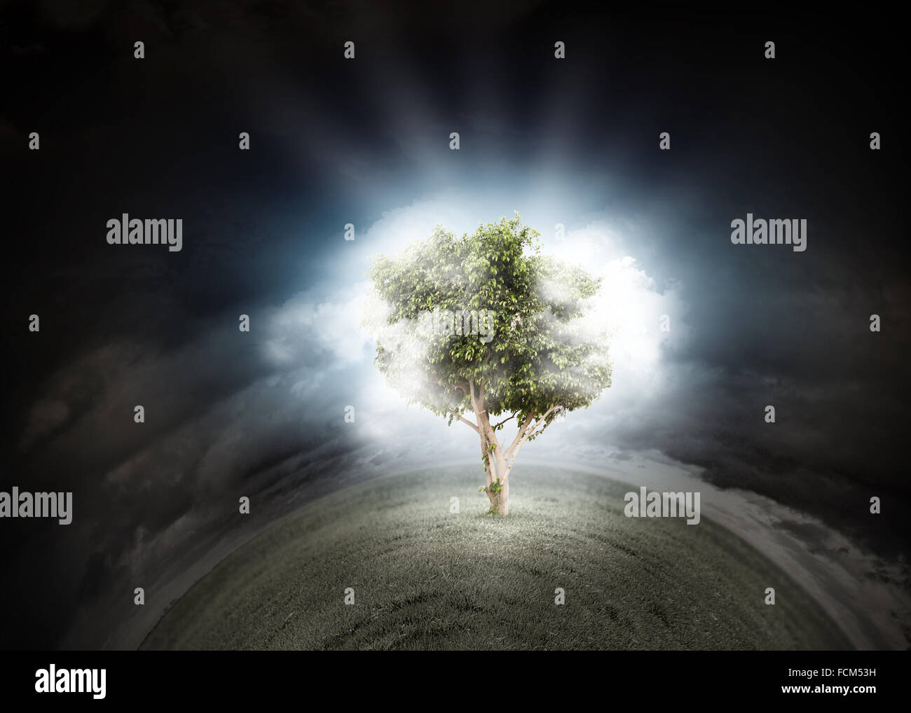 Green tree as a symbol of environmental protection Stock Photo - Alamy