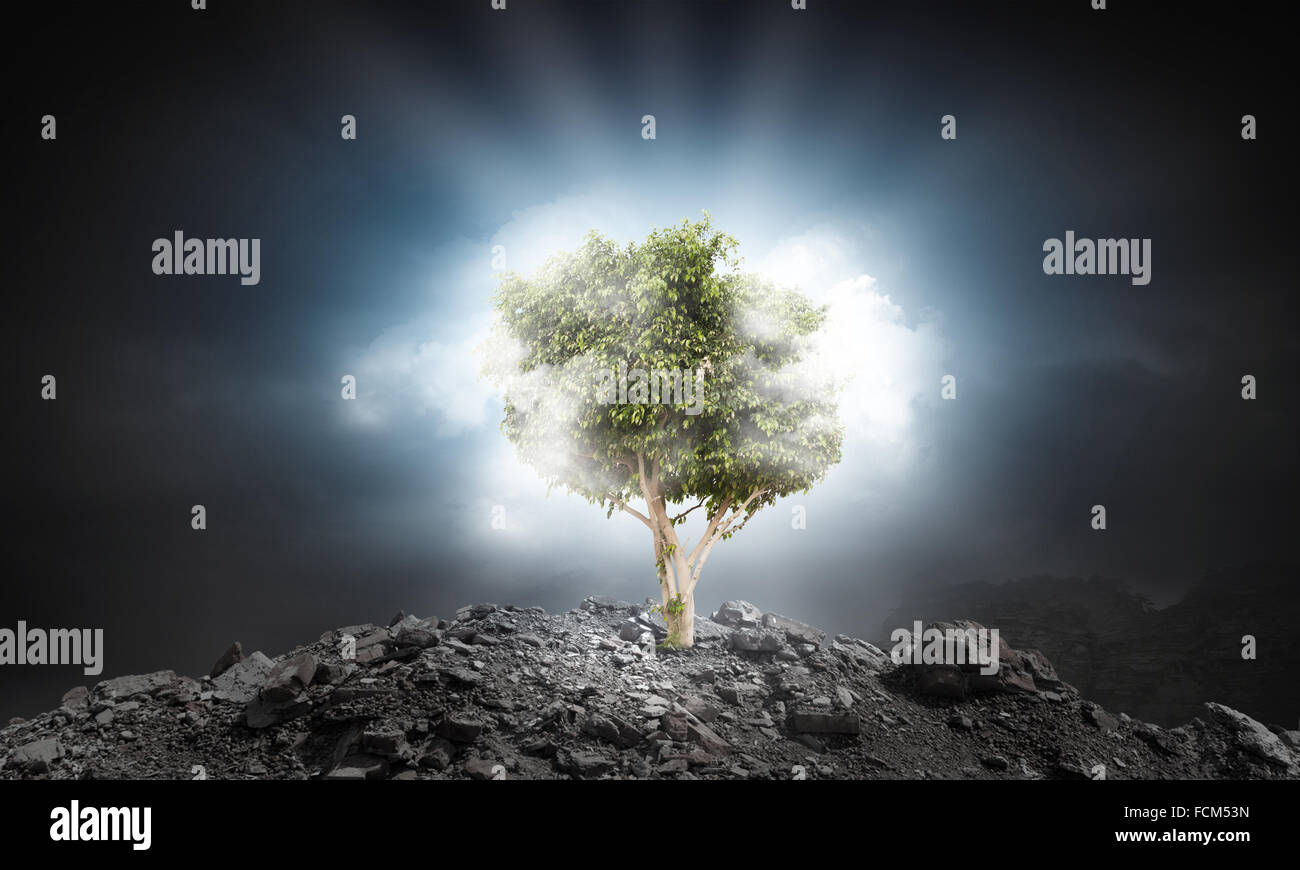 Green tree as a symbol of environmental protection Stock Photo - Alamy
