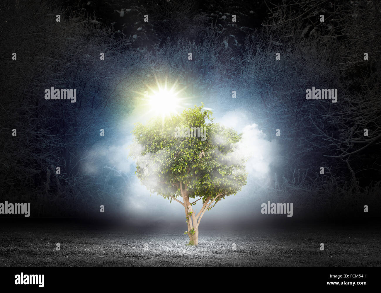 Green tree as a symbol of environmental protection Stock Photo - Alamy
