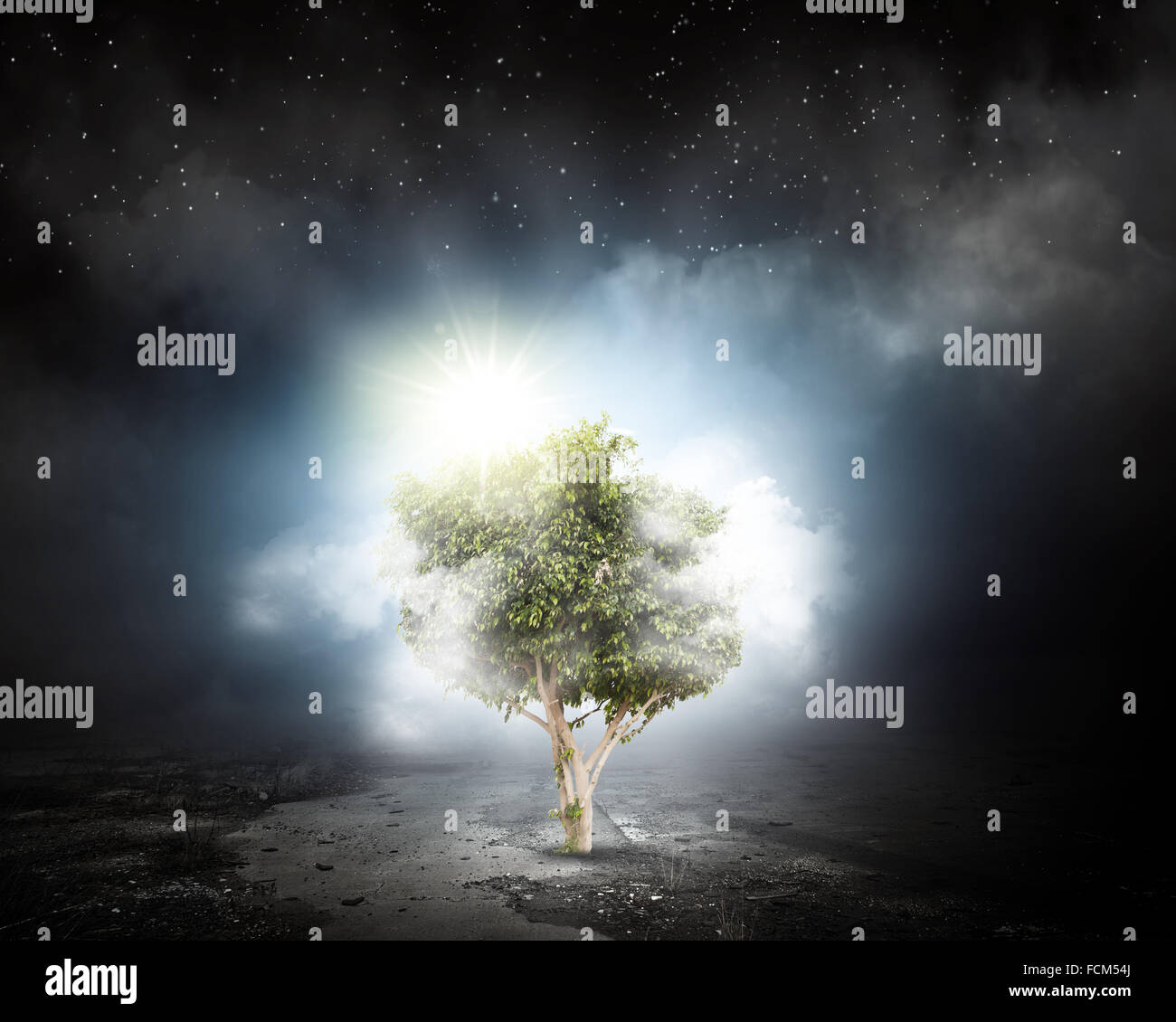 Green tree as a symbol of environmental protection Stock Photo - Alamy
