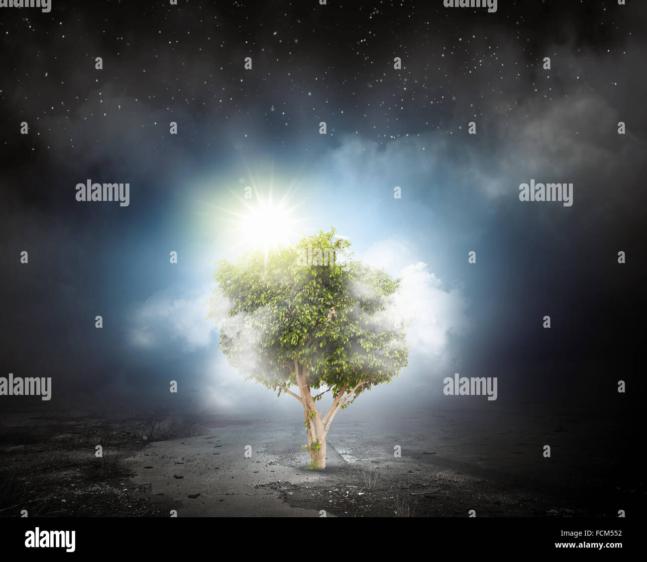 Green tree as a symbol of environmental protection Stock Photo - Alamy