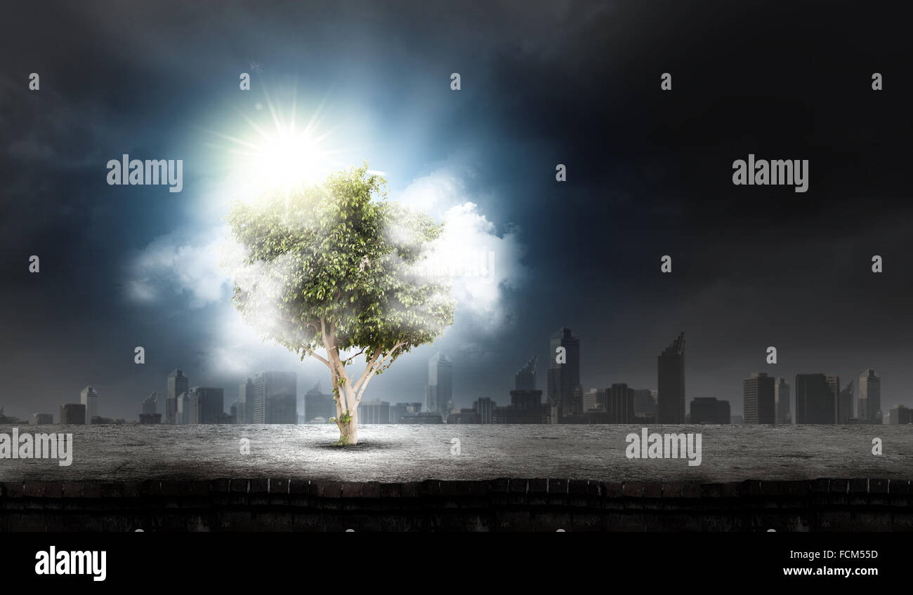 Green tree as a symbol of environmental protection Stock Photo - Alamy