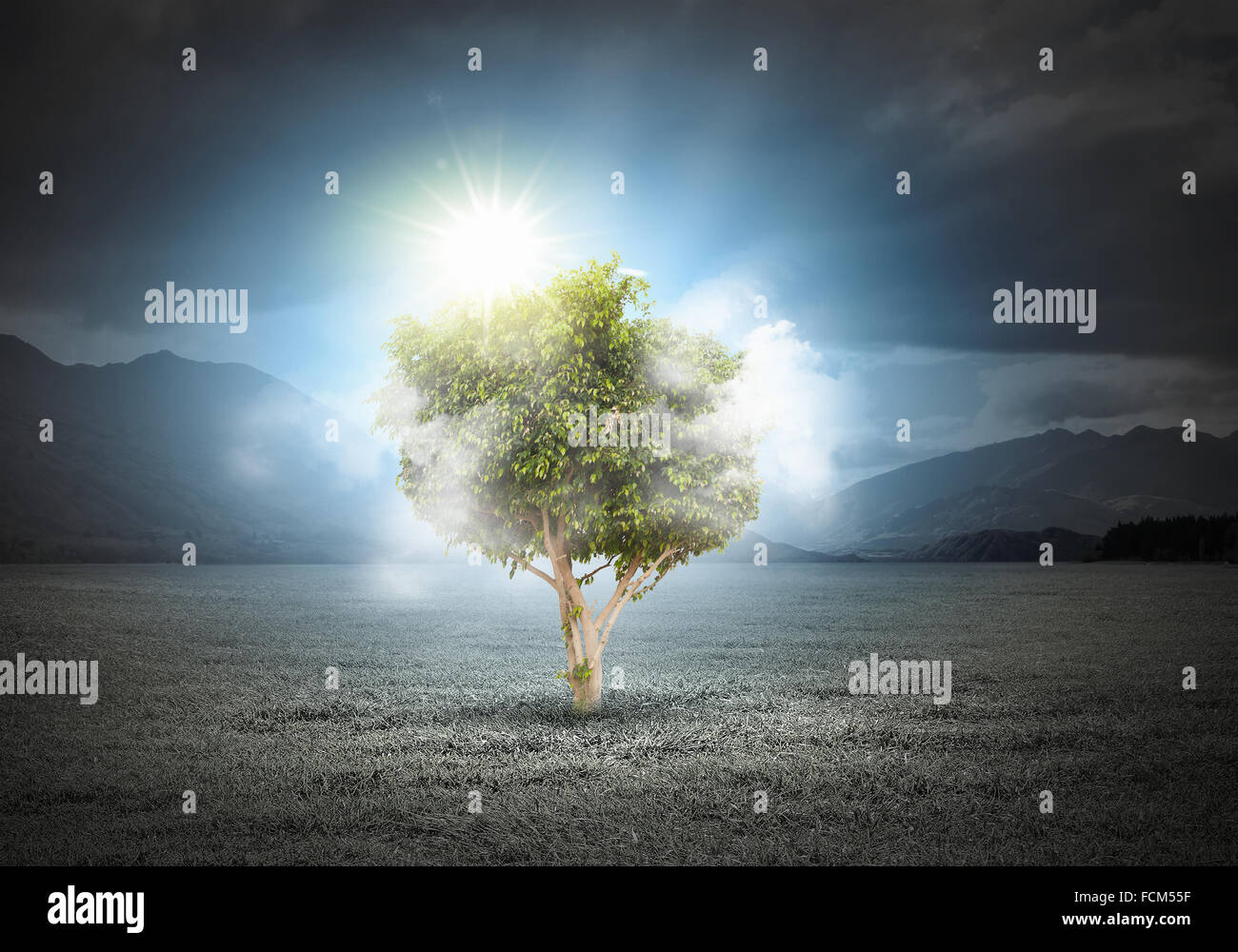 Green tree as a symbol of environmental protection Stock Photo - Alamy