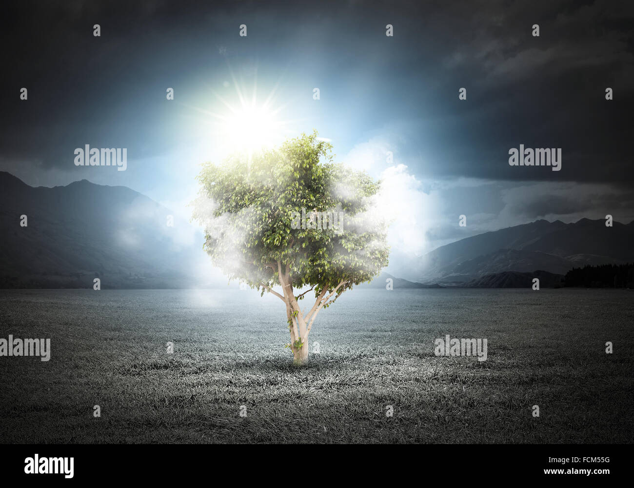 Green tree as a symbol of environmental protection Stock Photo - Alamy