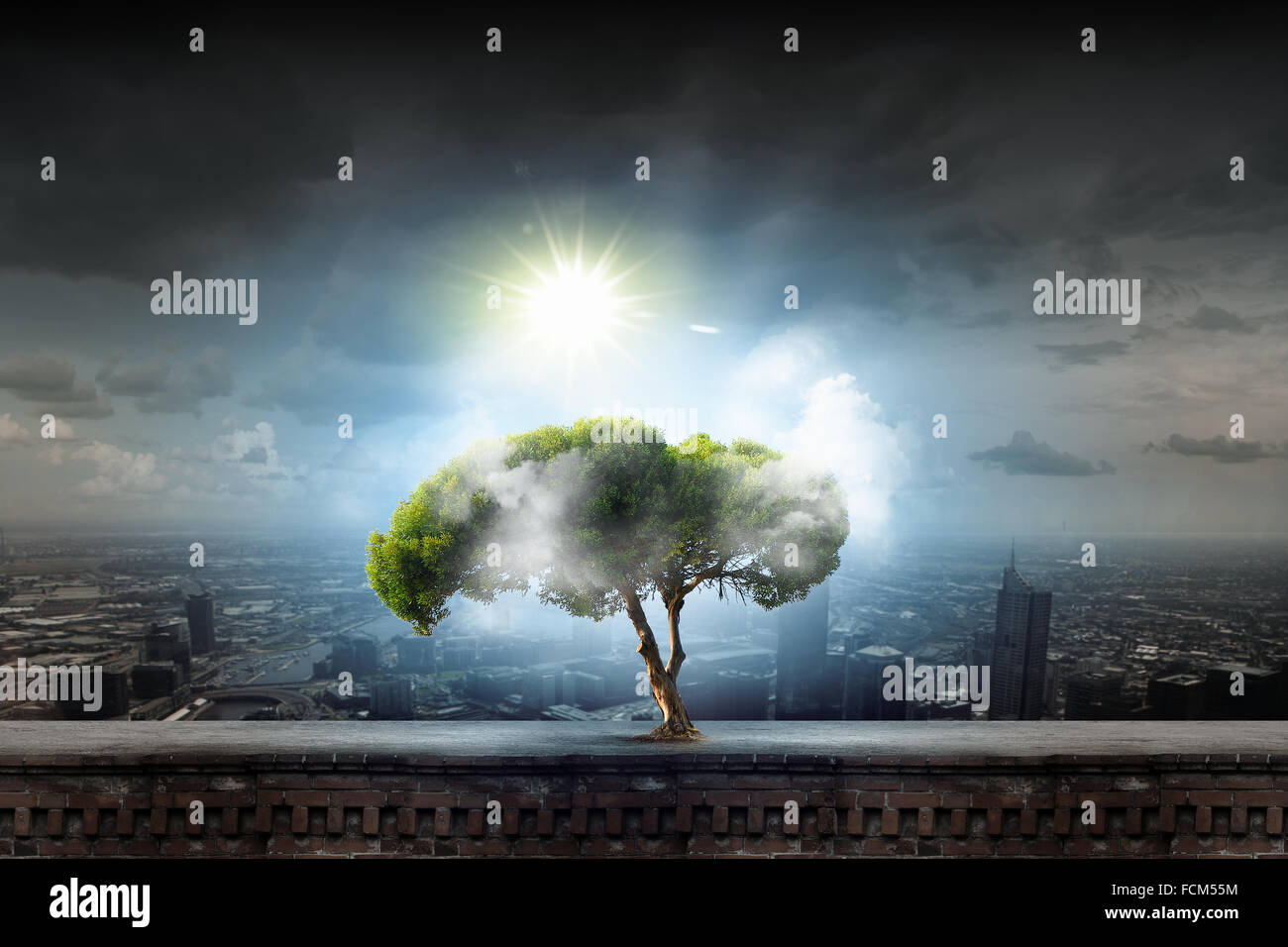 Green tree as a symbol of environmental protection Stock Photo - Alamy