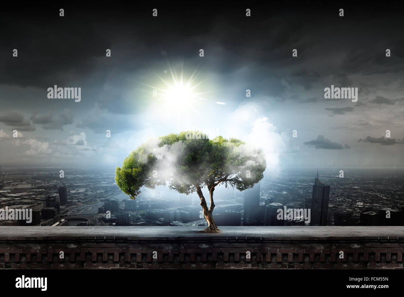Green tree as a symbol of environmental protection Stock Photo - Alamy