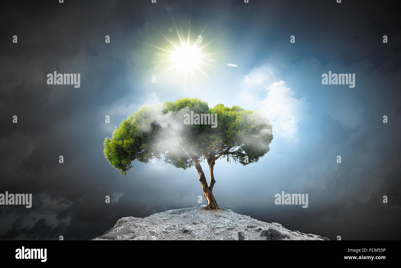 Green tree as a symbol of environmental protection Stock Photo - Alamy