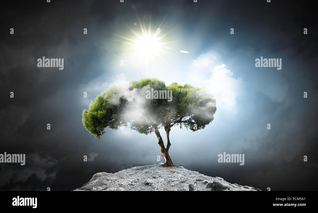 Green tree as a symbol of environmental protection Stock Photo - Alamy