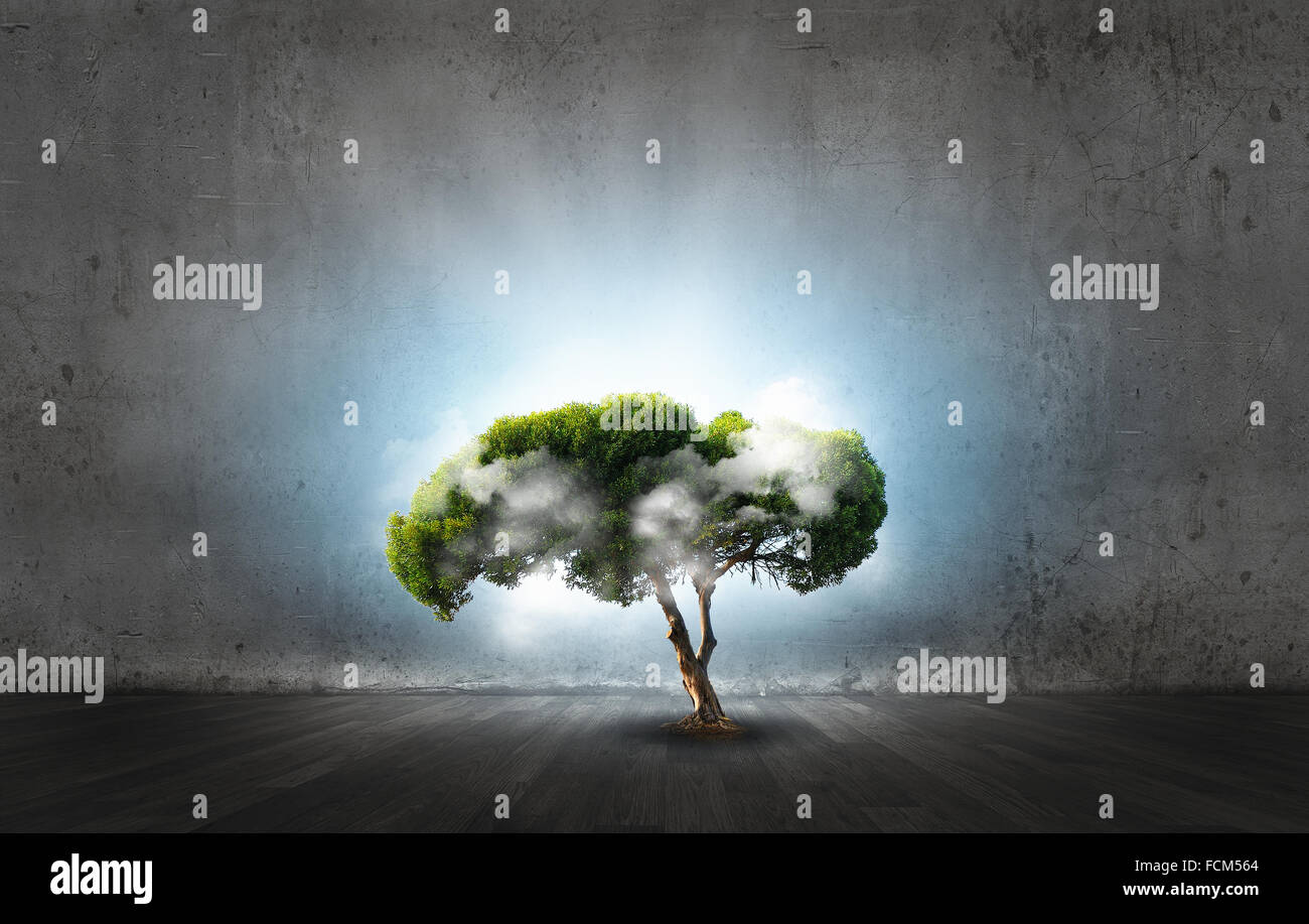 Green tree as a symbol of environmental protection Stock Photo - Alamy