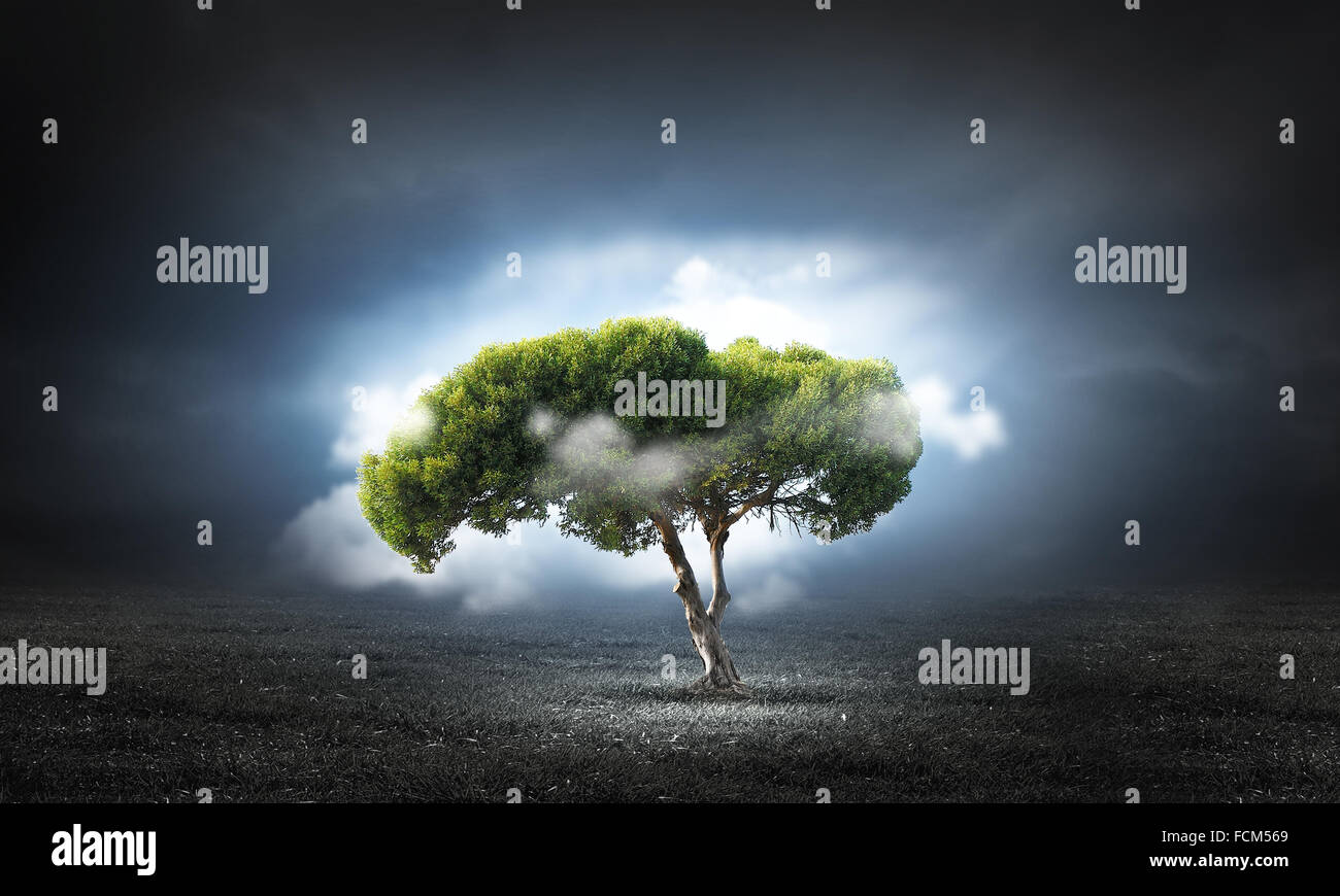 Green tree as a symbol of environmental protection Stock Photo - Alamy