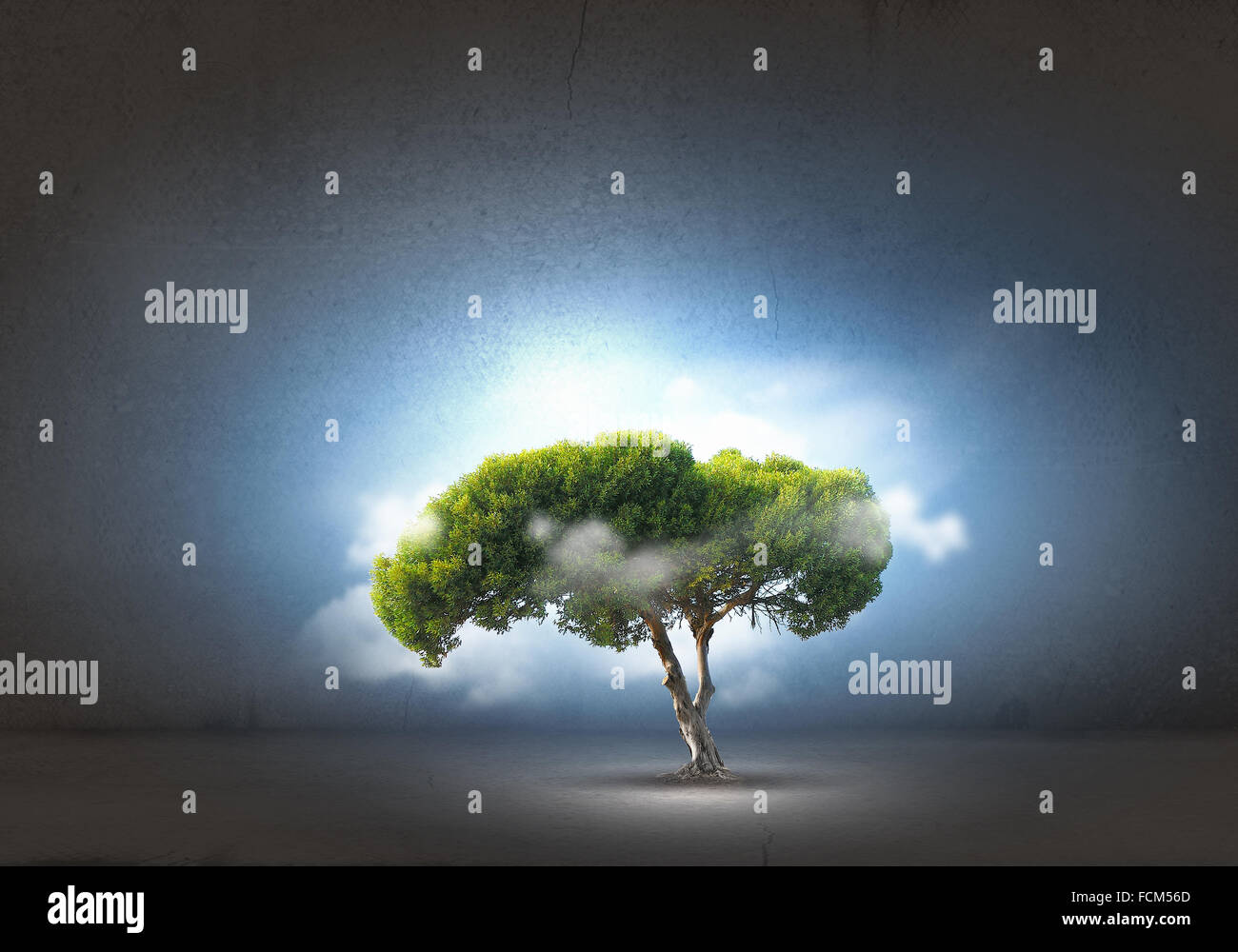 Green tree as a symbol of environmental protection Stock Photo - Alamy