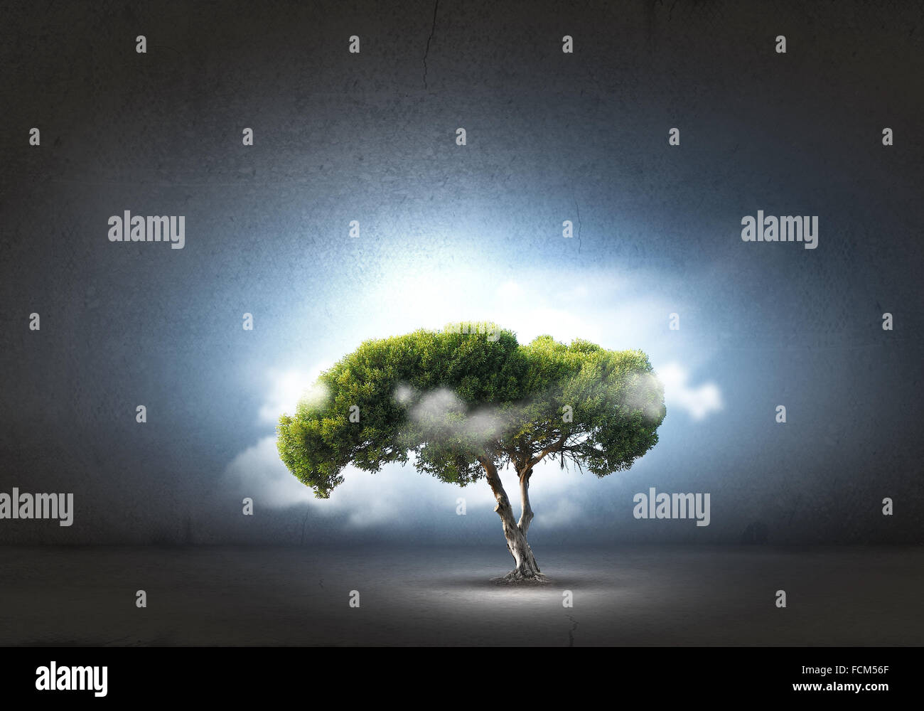 Green tree as a symbol of environmental protection Stock Photo - Alamy