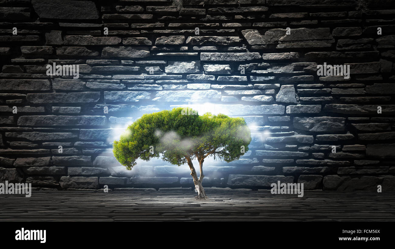 Green tree as a symbol of environmental protection Stock Photo - Alamy
