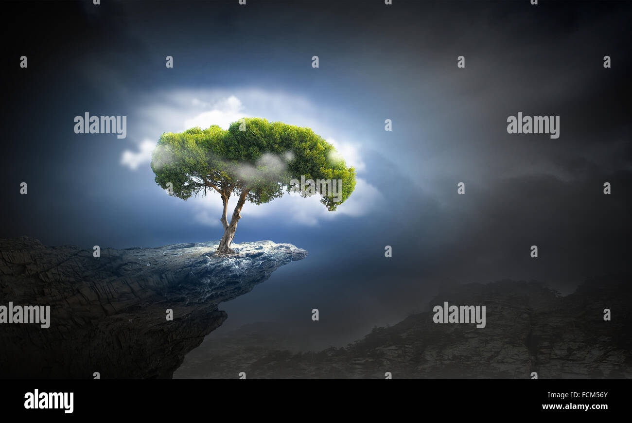 Green tree as a symbol of environmental protection Stock Photo - Alamy