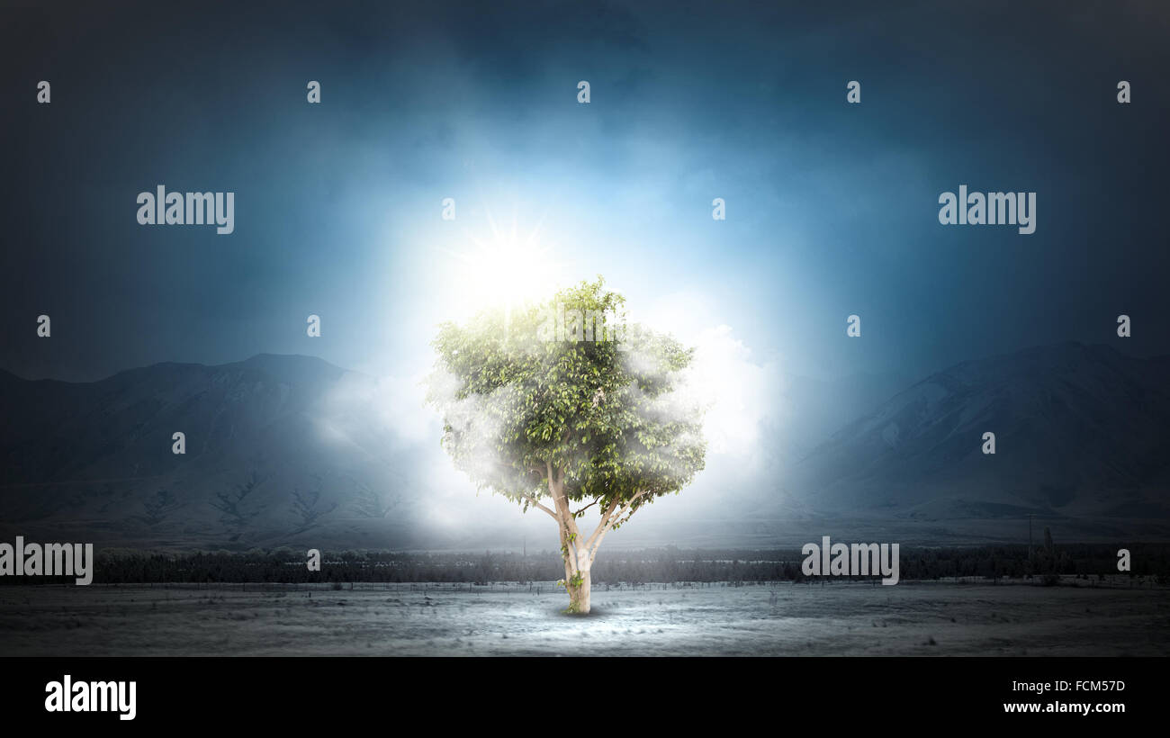 Green tree as a symbol of environmental protection Stock Photo - Alamy