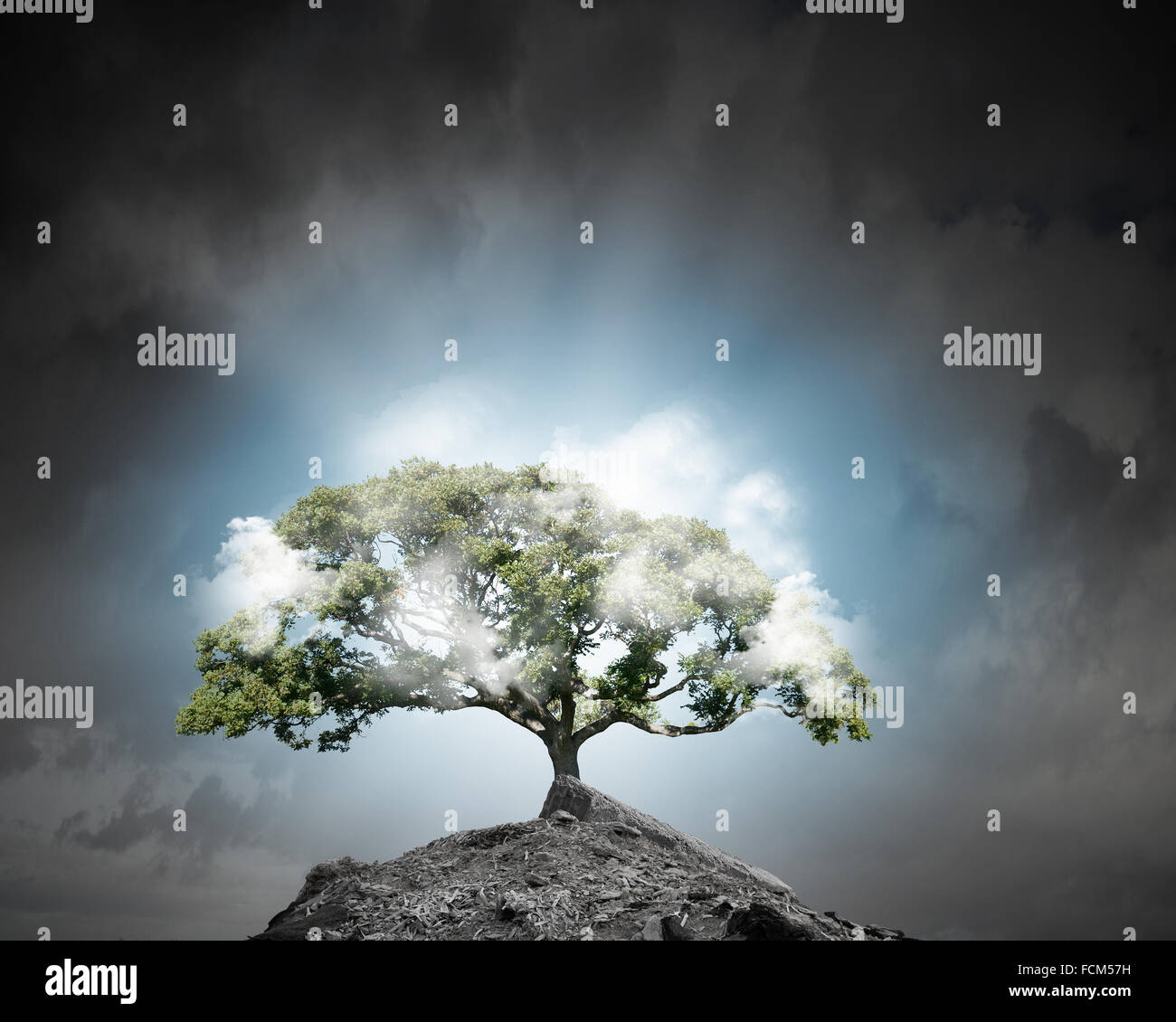 Green tree as a symbol of environmental protection Stock Photo - Alamy