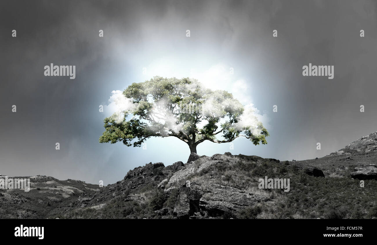 Green tree as a symbol of environmental protection Stock Photo - Alamy