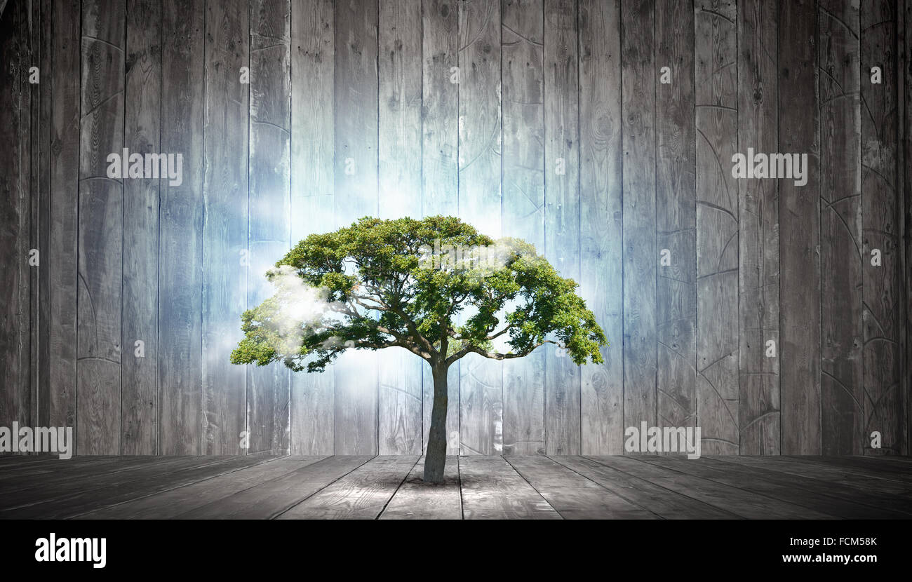 Green tree as a symbol of environmental protection Stock Photo - Alamy