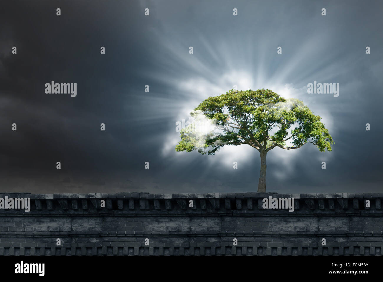 Green tree as a symbol of environmental protection Stock Photo - Alamy