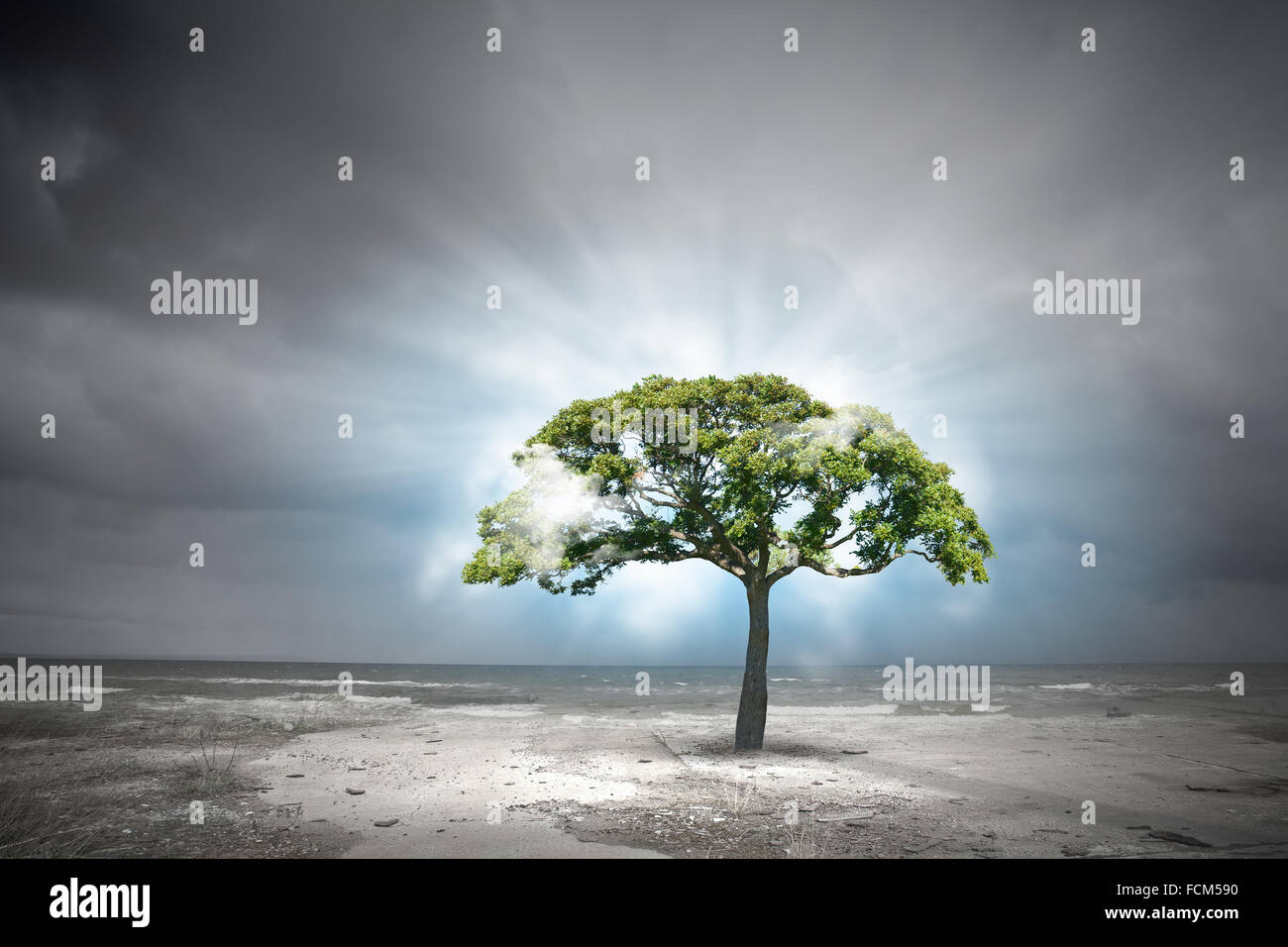 Green tree as a symbol of environmental protection Stock Photo - Alamy