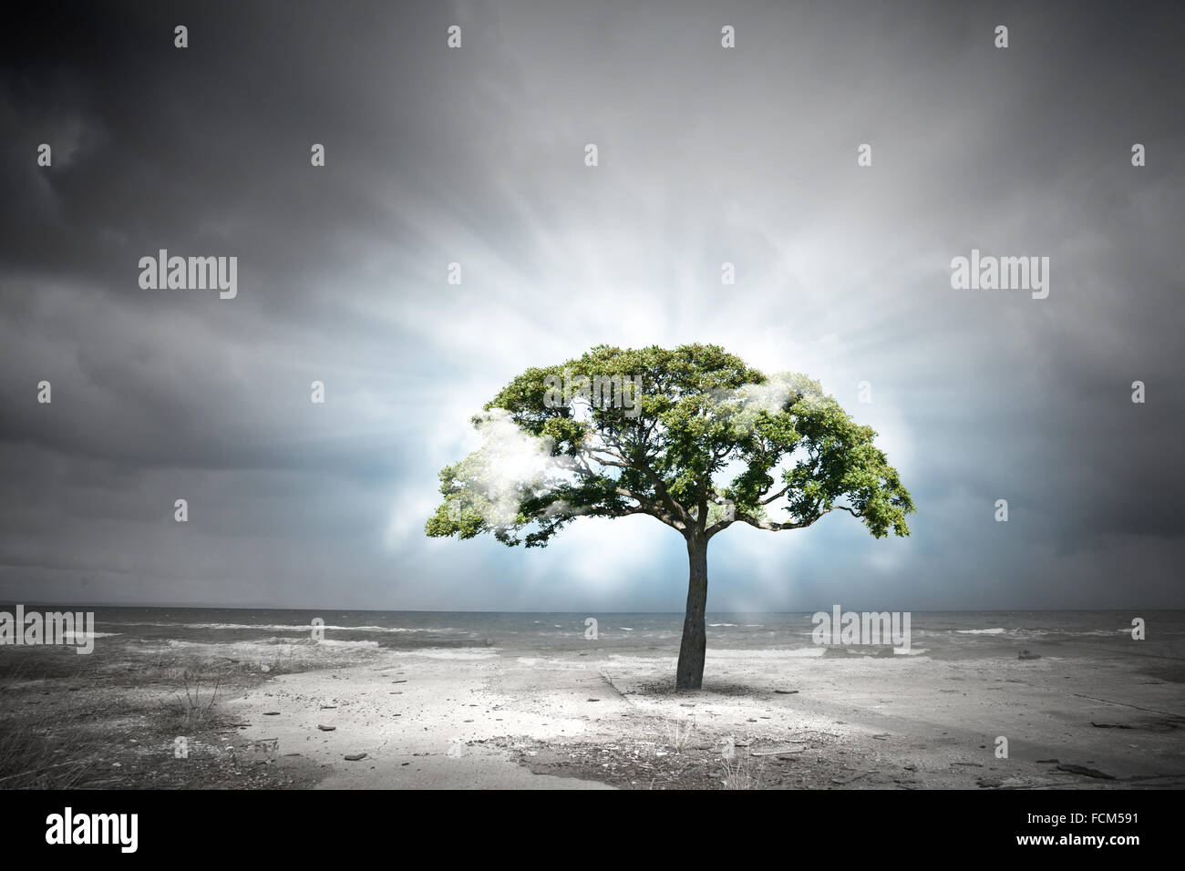 Green tree as a symbol of environmental protection Stock Photo - Alamy