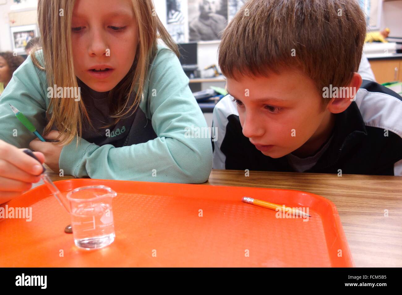 Cohesion High Resolution Stock Photography and Images - Alamy