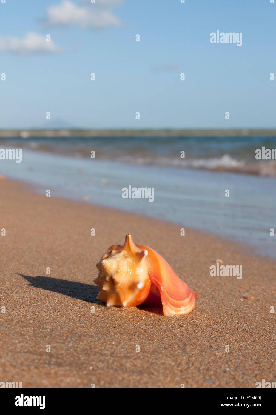 Living in jamaica hi-res stock photography and images - Alamy