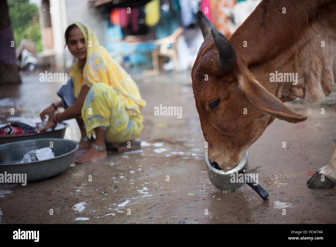 Modasa High Resolution Stock Photography and Images - Alamy