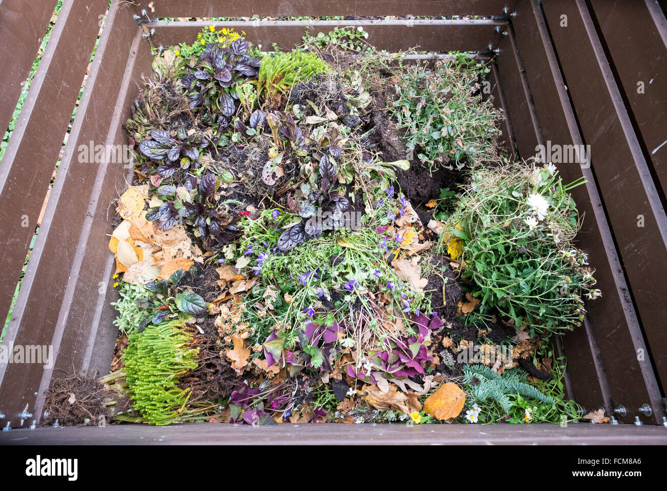 Green waste of plants and faded flowers as compost Stock Photo - Alamy