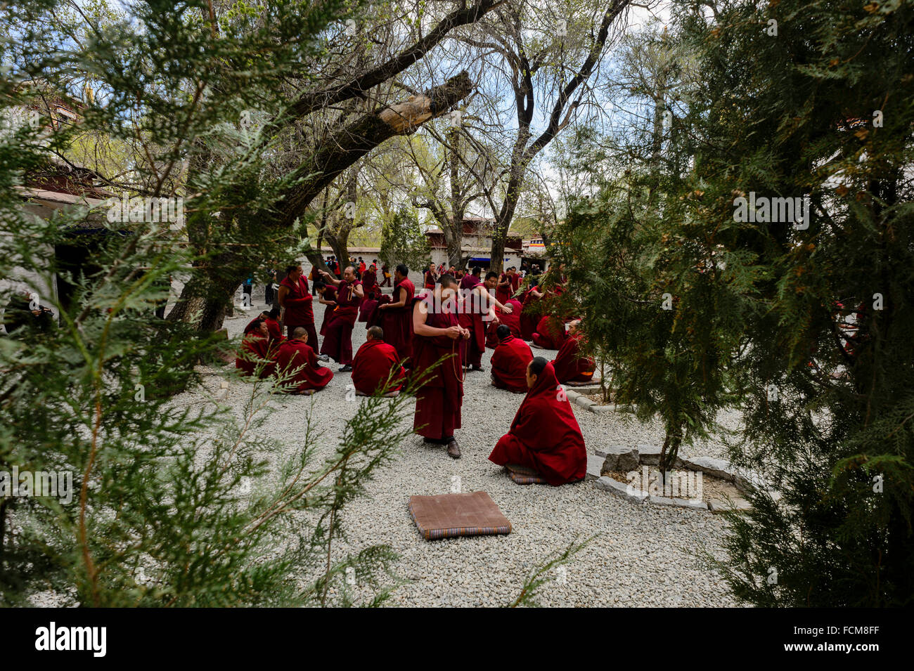 Monks debate at Sera monastery Stock Photo - Alamy