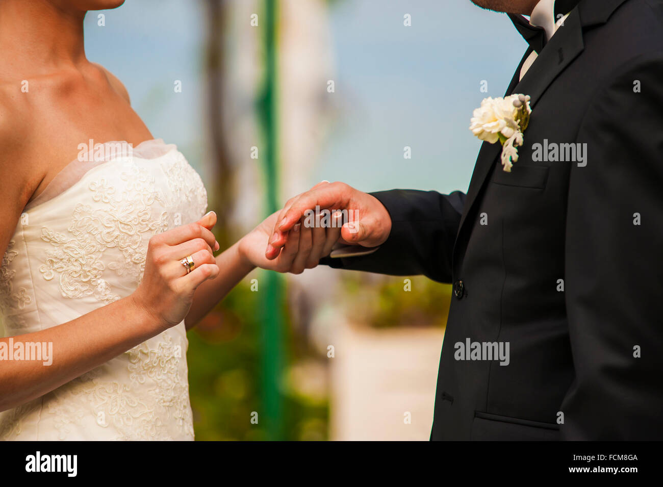 The newlyweds hands Stock Photo - Alamy
