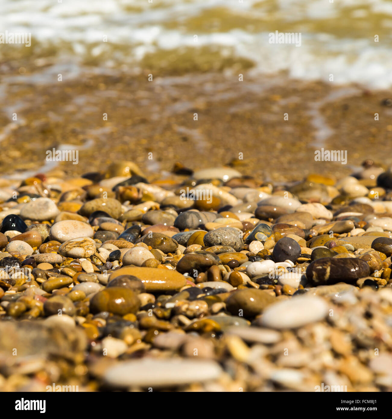 Furse park hi-res stock photography and images - Alamy