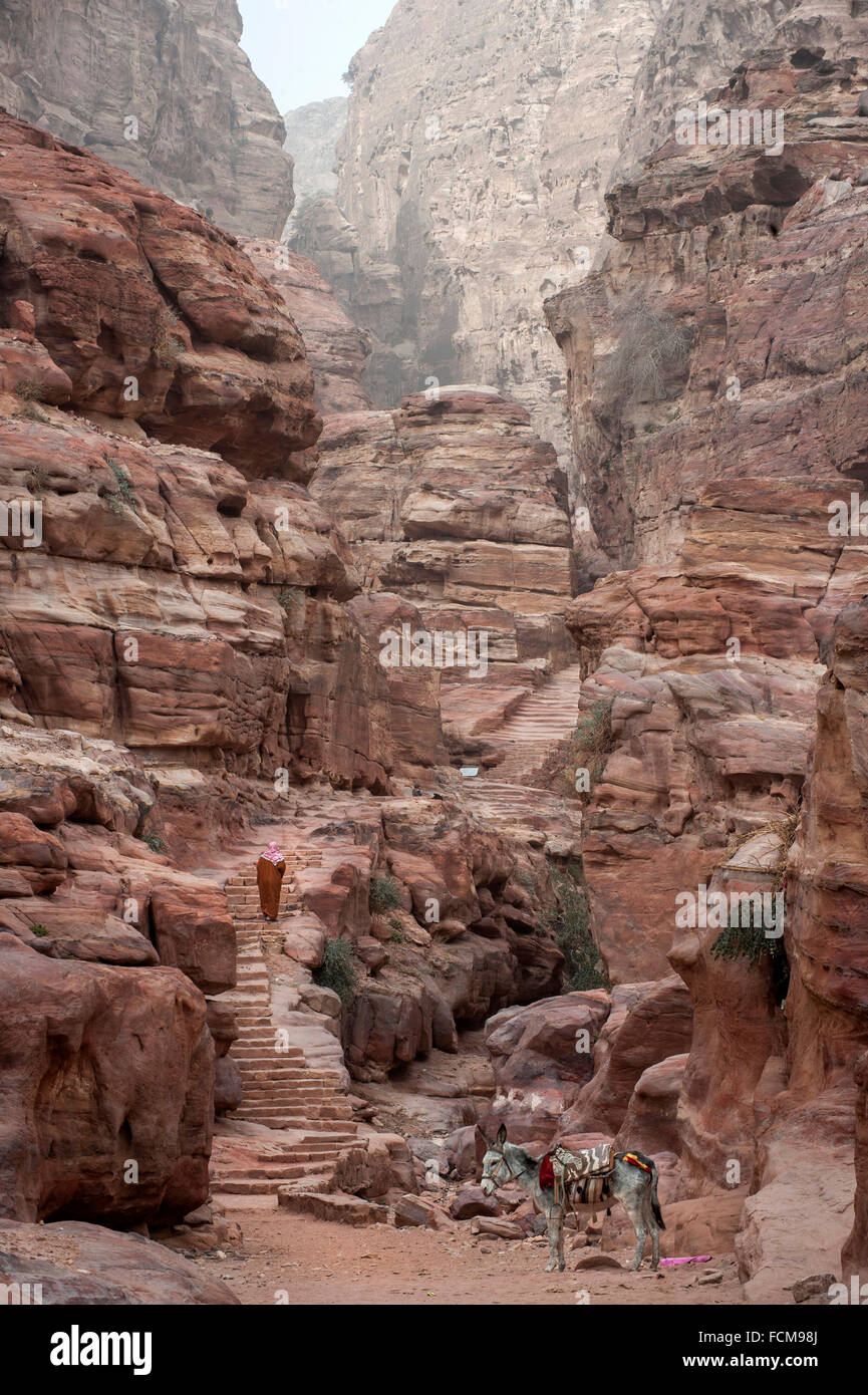 The steps up to The Monastery (El Deir,) at Petra, Jordan Stock Photo ...