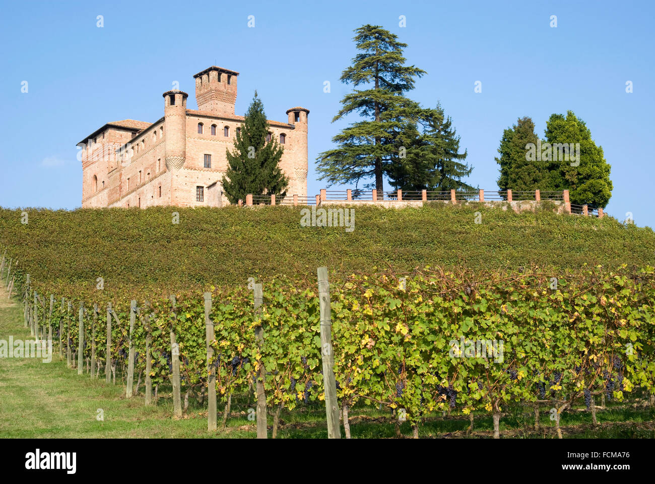 Castle of Grinzane Cavour, Piedmont, Italy Stock Photo - Alamy